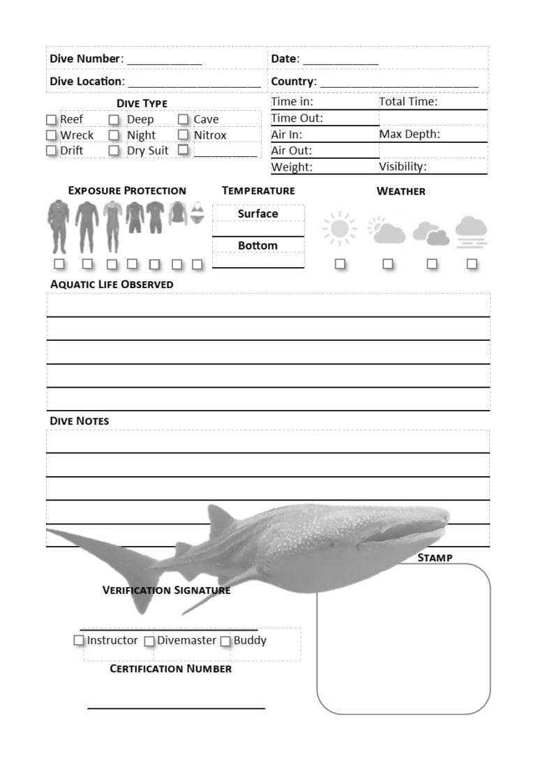 Great Barrier Reef Dive: Exploring Underwater Majesty