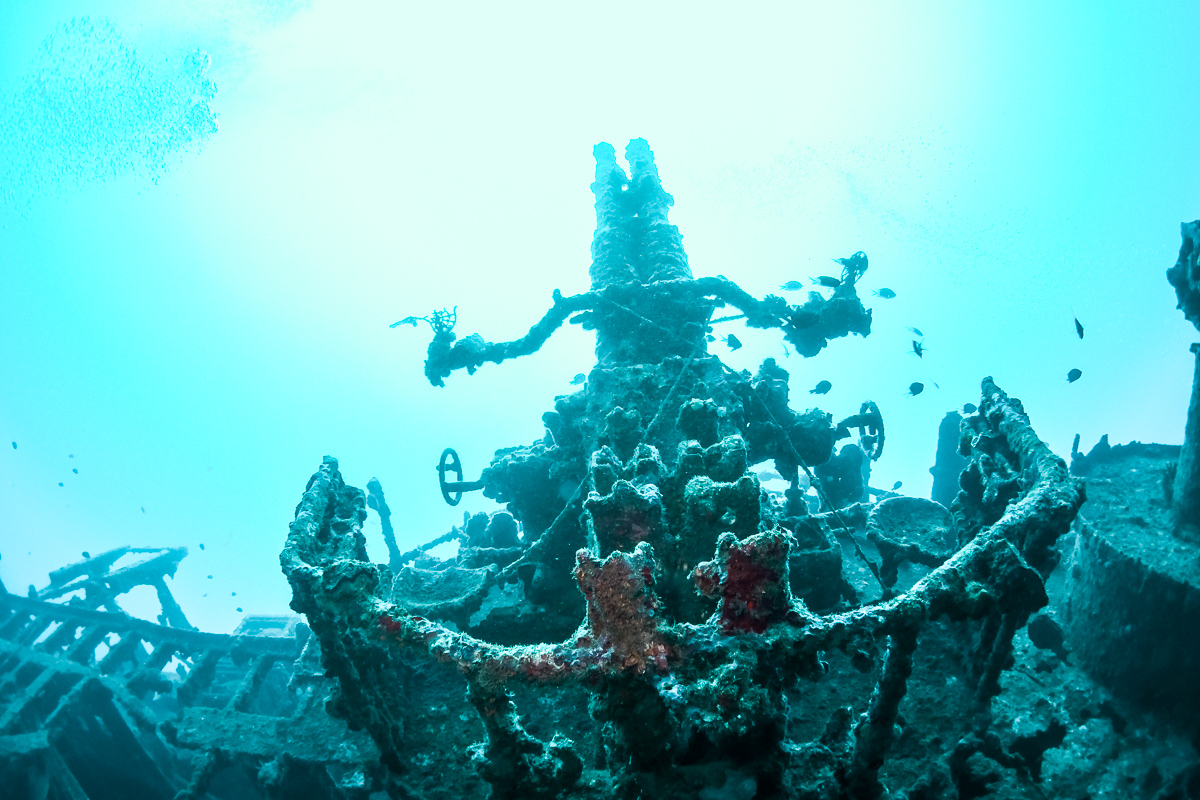 Diving the USS Emmons Wreck — Oceans to Alpines